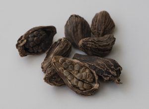 Cardamomo negro (Amomum Subulatum) - Spice and Colour